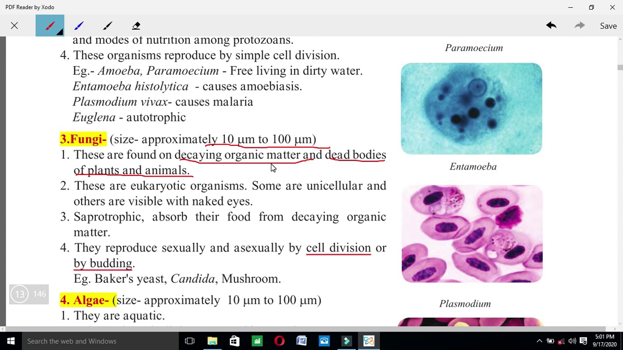 CLASS 8TH SCIENCE - LIVING WORLD AND CLASSIFICATION OF MICROBES PART- 2 ...