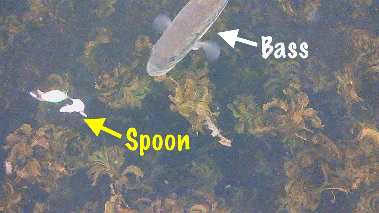 Ice Fishing Bass & Yellow Perch Through Slush!! (*Underwater View ...