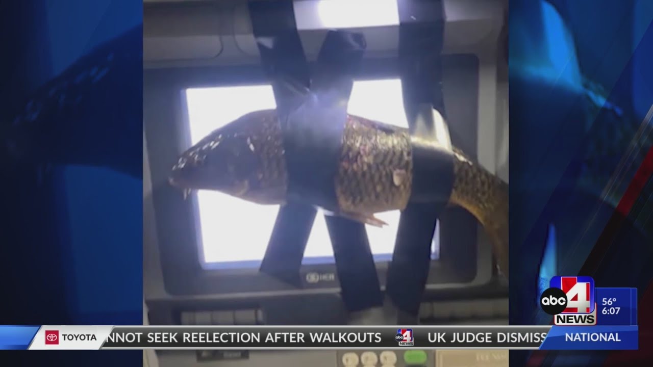 PETA writes Provo School District with animal empathy guides after teen ...