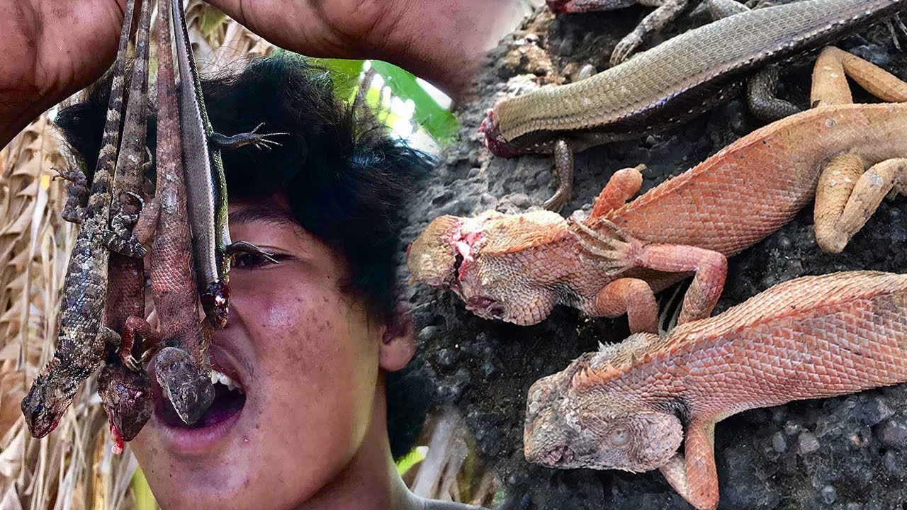 Primitive Technology - Catch and Cook Lizard Eating is Very Delicious ...