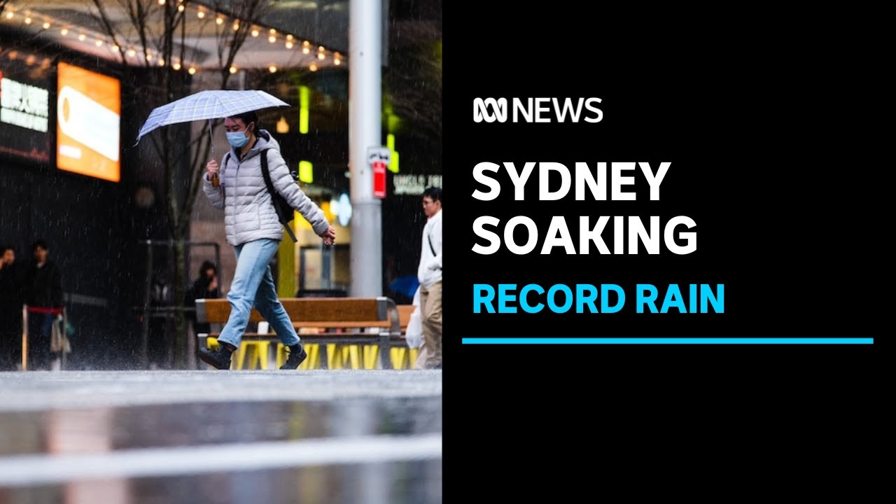 Sydney marks wettest year since records began | ABC News - YouTube