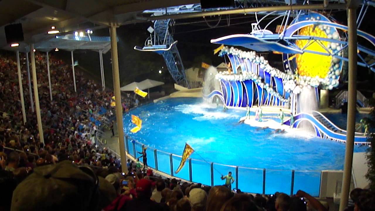 Dolphin Theatre Show @ Sea World Orlando PART 2 - YouTube