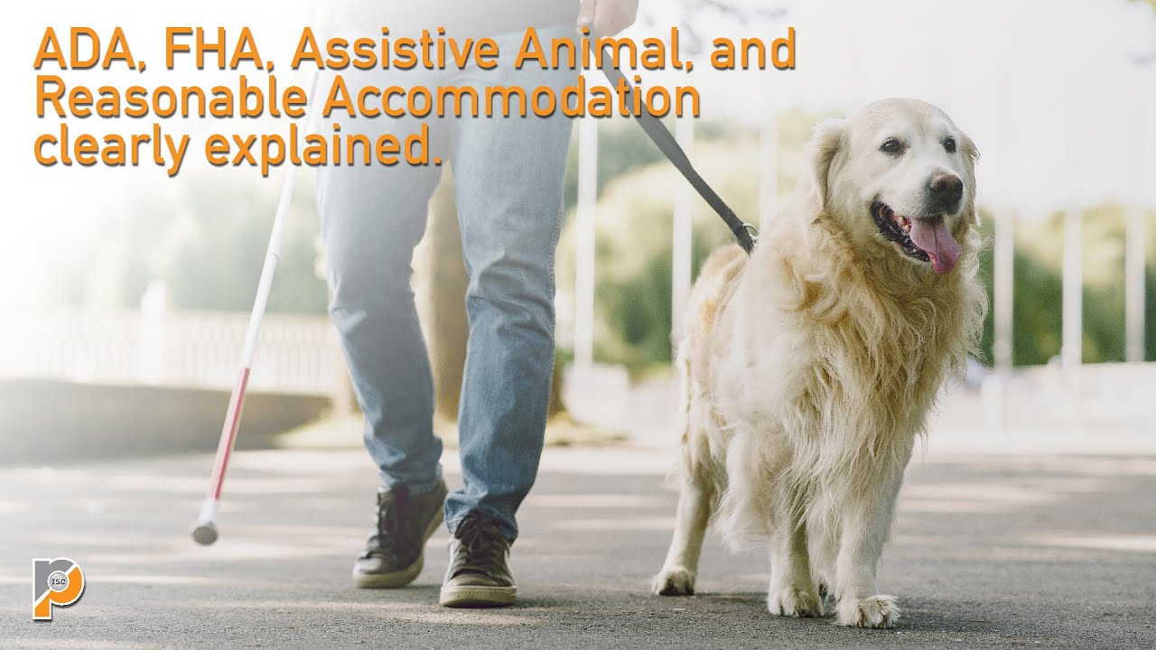 Ep. 70 ADA, FHA, Assistive Animal, and Reasonable Accommodation clearly ...