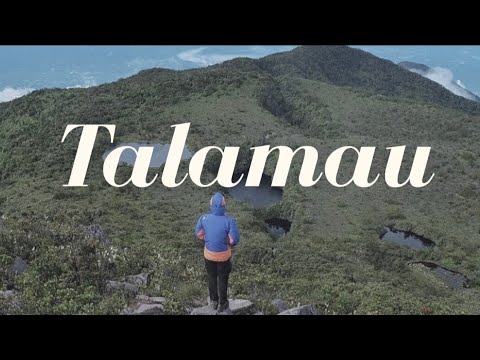 Gunung Talamau, Pasaman Barat - Puncak tertinggi Sumatera Barat 4K with ...