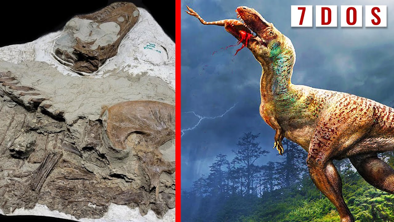 This Fossil Preserves The Last Meal of a Tyrannosaur | 7 Days of ...