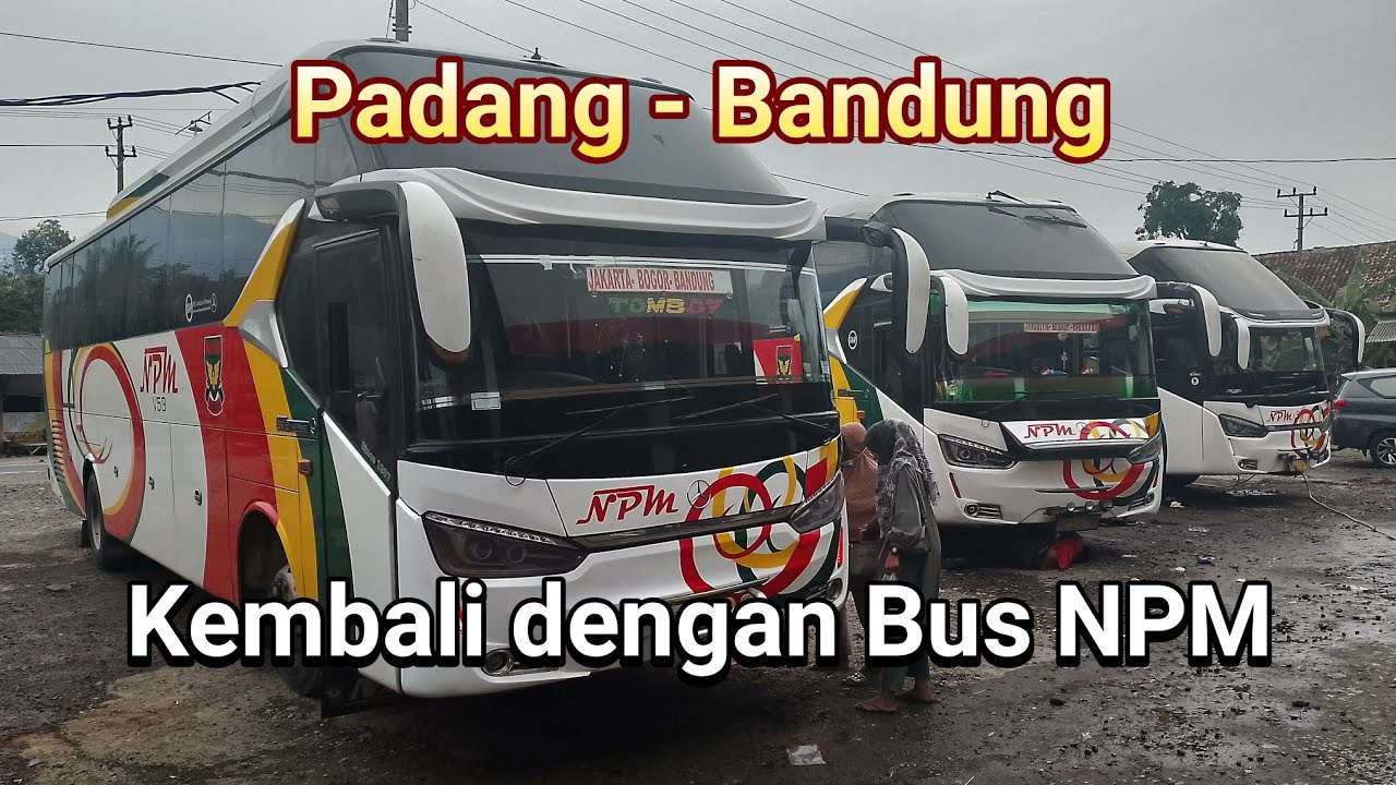Trip Padang ke Bandung kembali dengan Bus NPM - YouTube