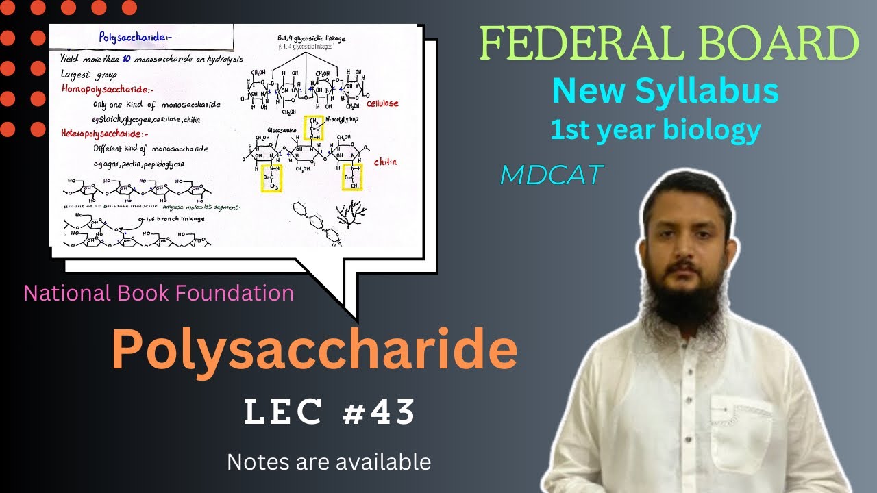 Polysaccharides | Structure properties and roles of starch,glycogen and ...