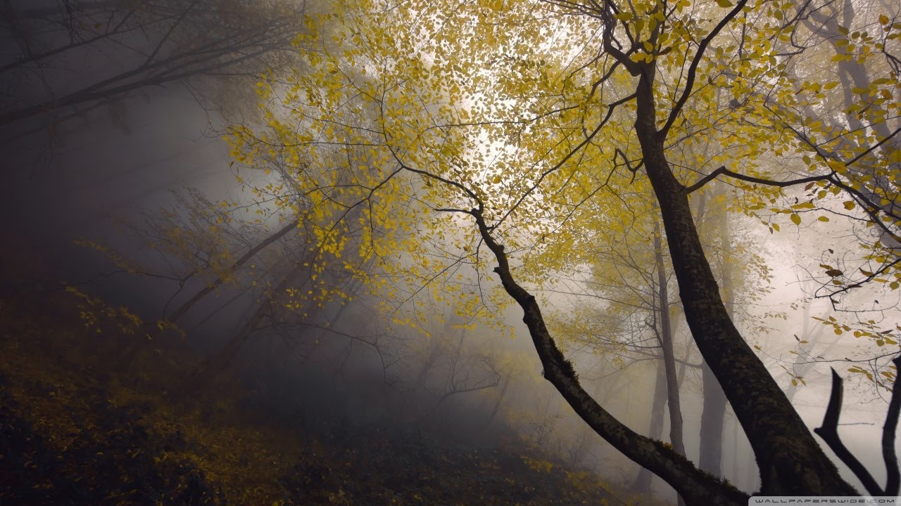 Fall Asleep Faster with Soothing Brown Noise and Rain Against Window ...