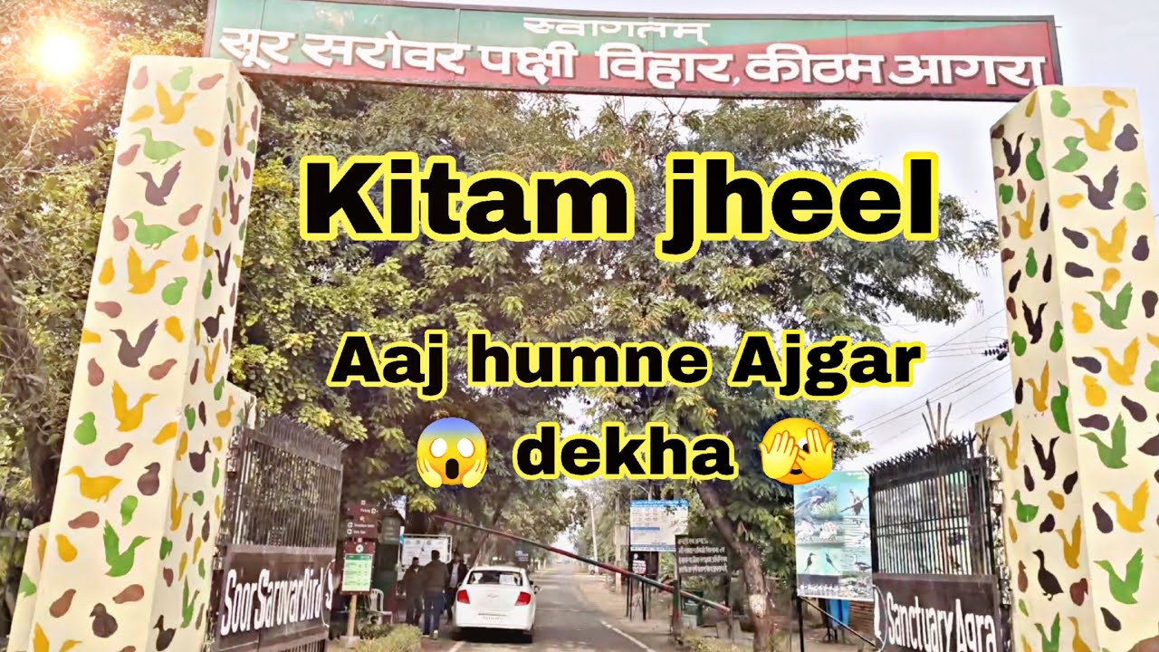 Aaj humne dekha Ajgar 😱 in Kitam jheel 🫣 - YouTube