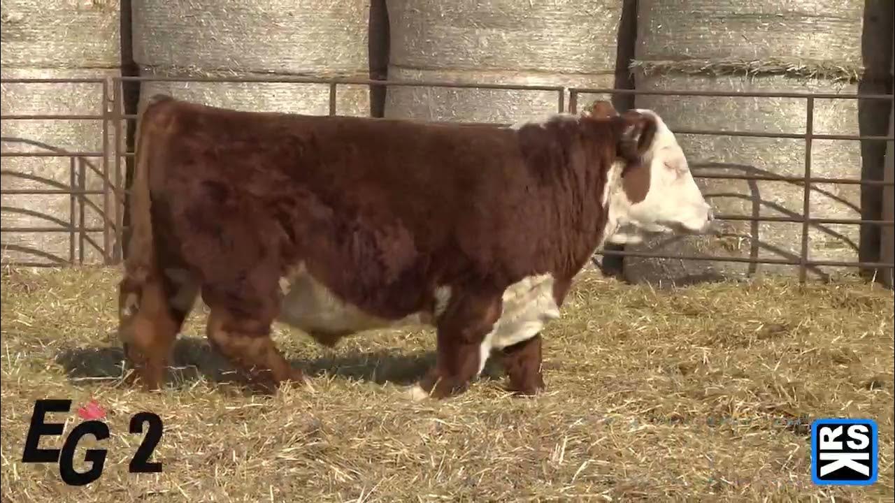 2 rsk 2025 - YouTube