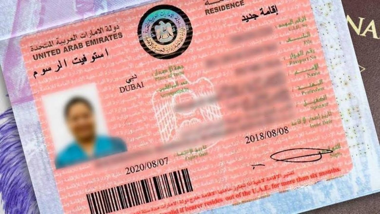 How to Type Any States UAE Visit Visa from Home from this portal ...