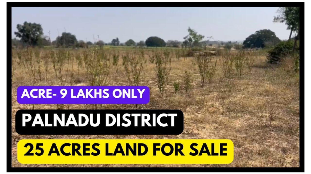 🏡🌿 Prime Land for Sale in Palnadu District, AP! || Acre- 9 lakhs only 🌿 ...