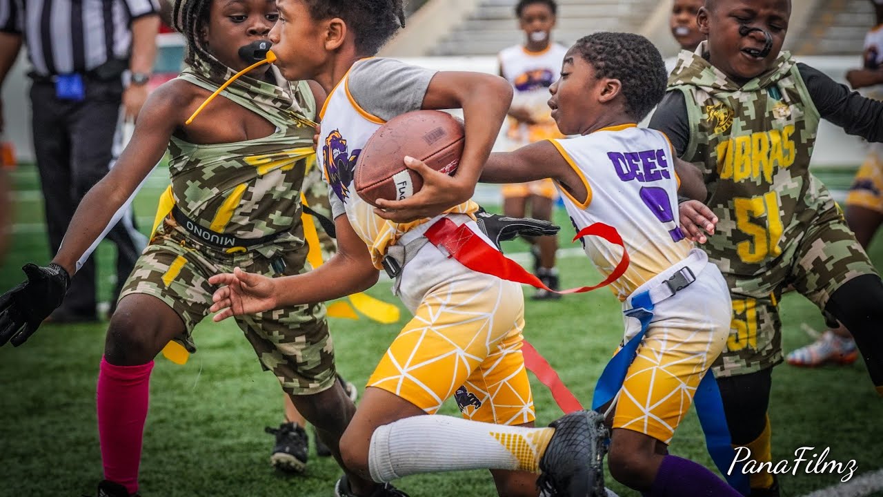 💥D2 Flag Super🏆Bowl WH Wolverine's vs Tri-County Cobra's 🐍...⚡ - YouTube