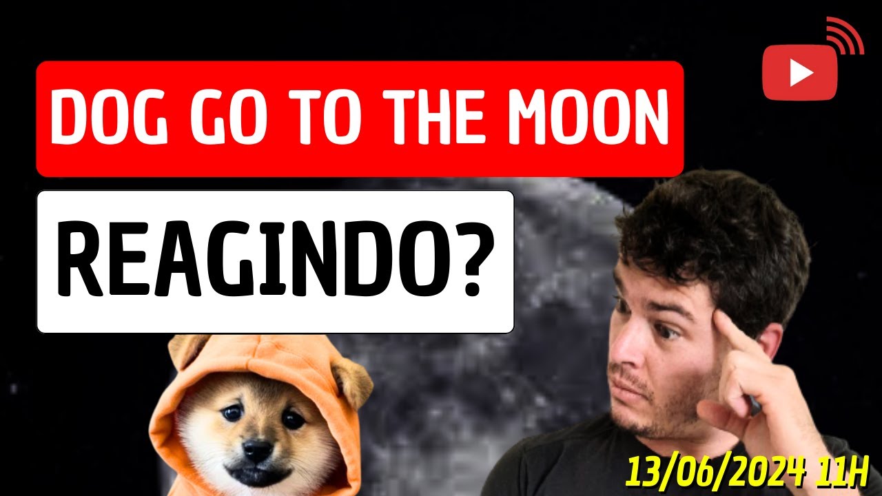 DOG GO TO THE MOON OU TO THE HELL? #btc #bitcoin #halving #meme # ...