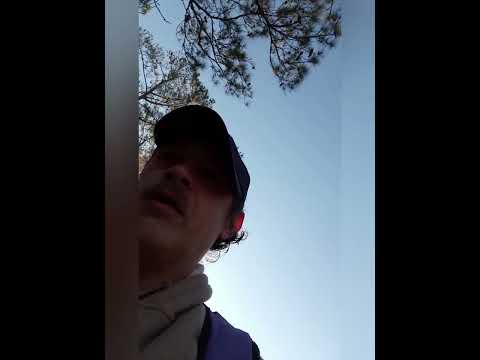 Blue rabbits foot trailer - YouTube