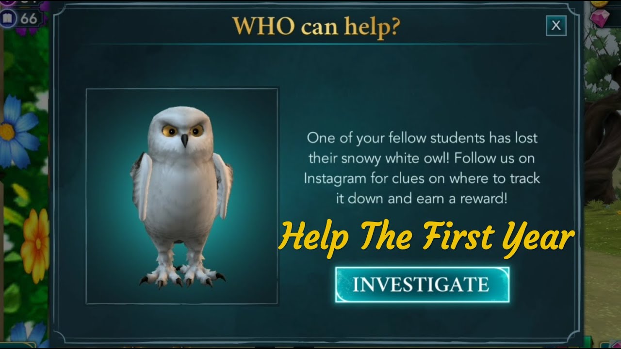 Help The First Year All Locations Harry Potter Hogwarts Mystery - YouTube