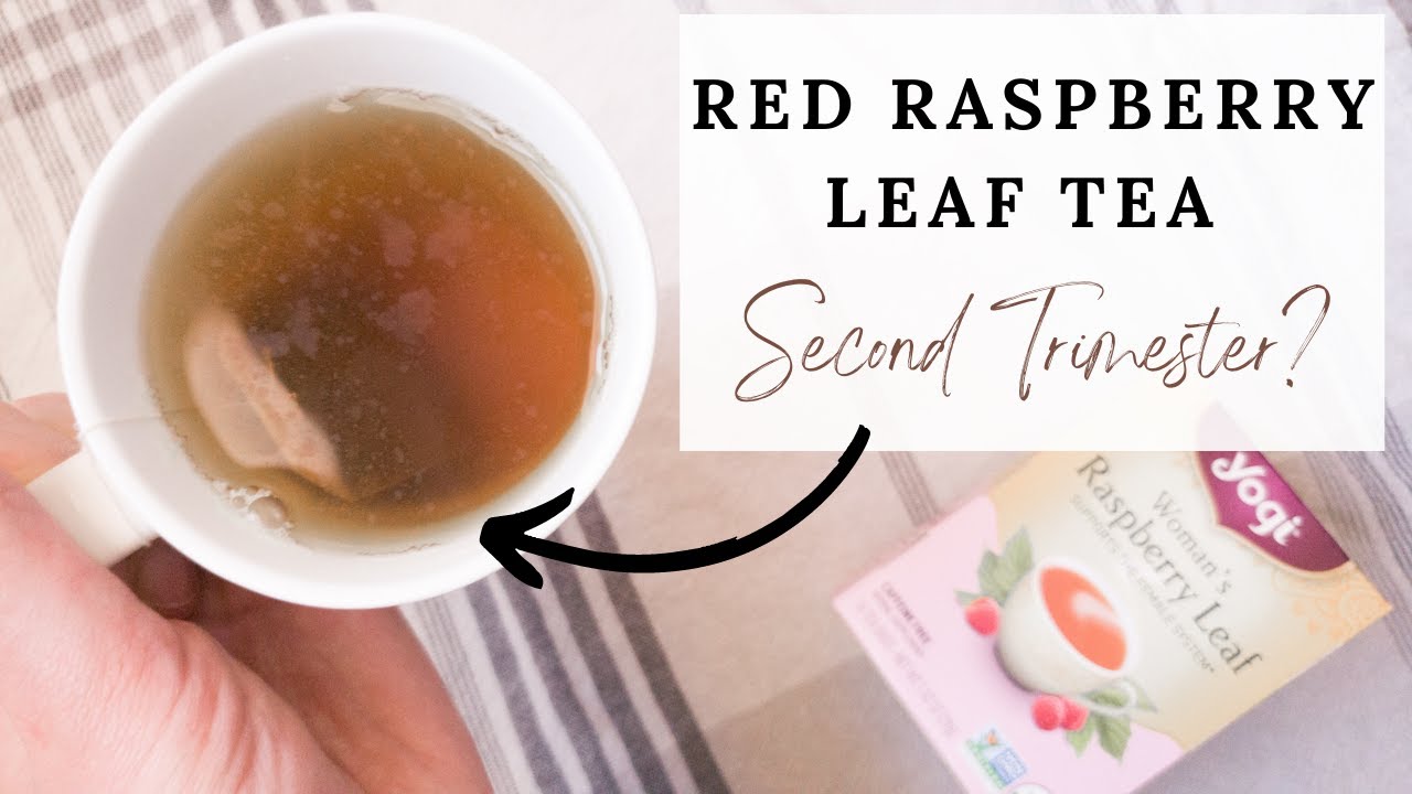 Why You Want To Start Red Raspberry Tea Early in Pregnancy + Health ...