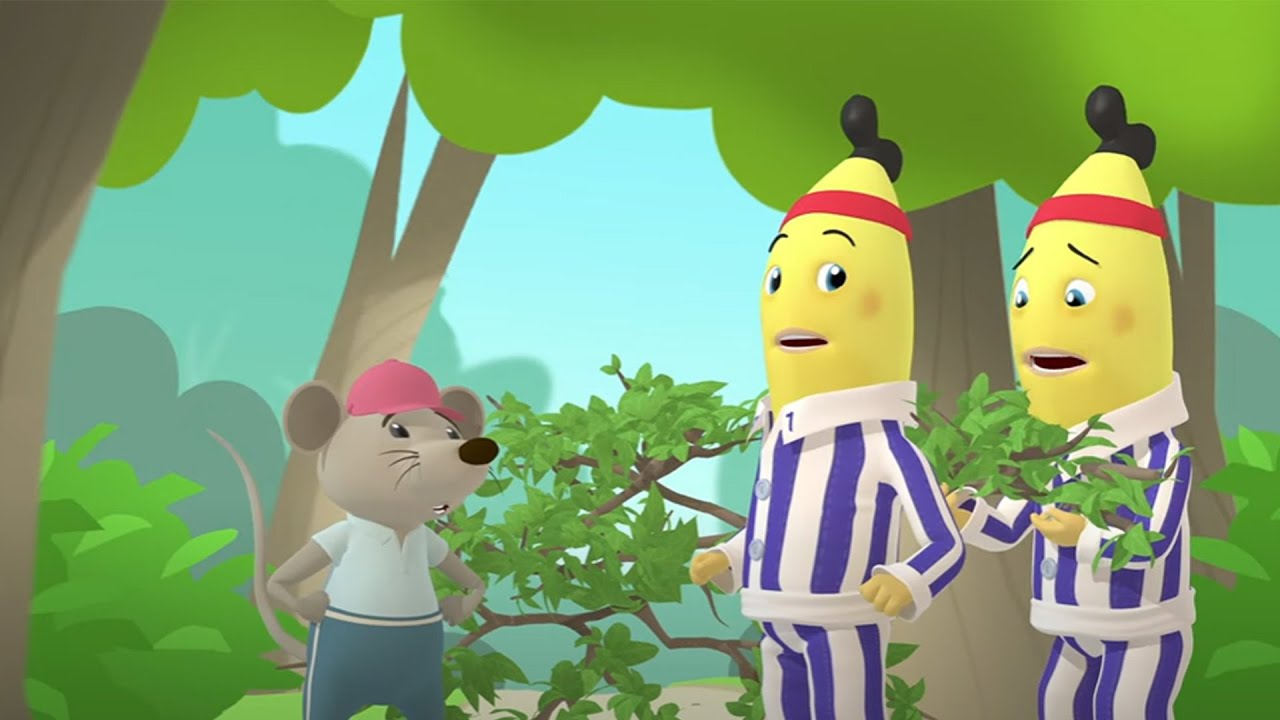 The Challenge | Bananas In Pyjamas - YouTube