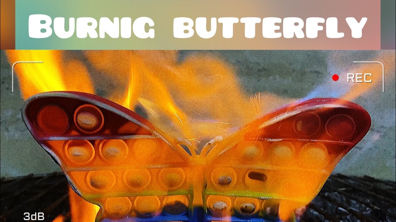 Burning butterfly toy 🔥 - YouTube