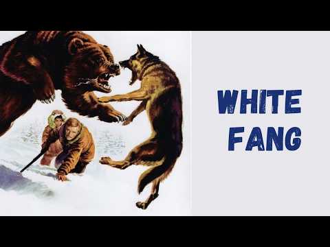 White Fang | HD | Adventure (1973) | Full movie in English