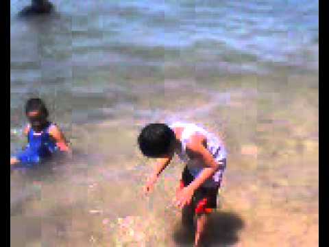 Guanzon Beach Resort in Naga Cebu - YouTube