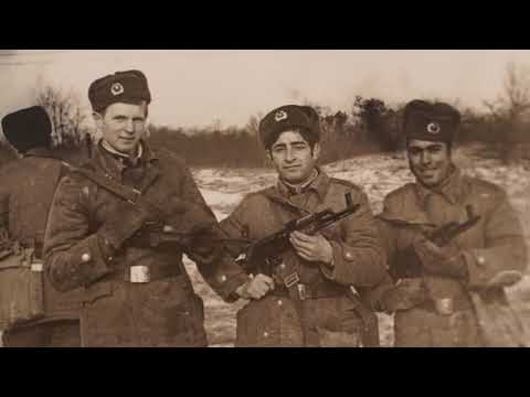 Cənab leytenant! - Film