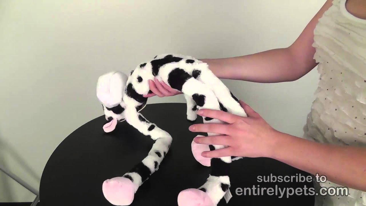 Multipet Dog Toy Cow - YouTube