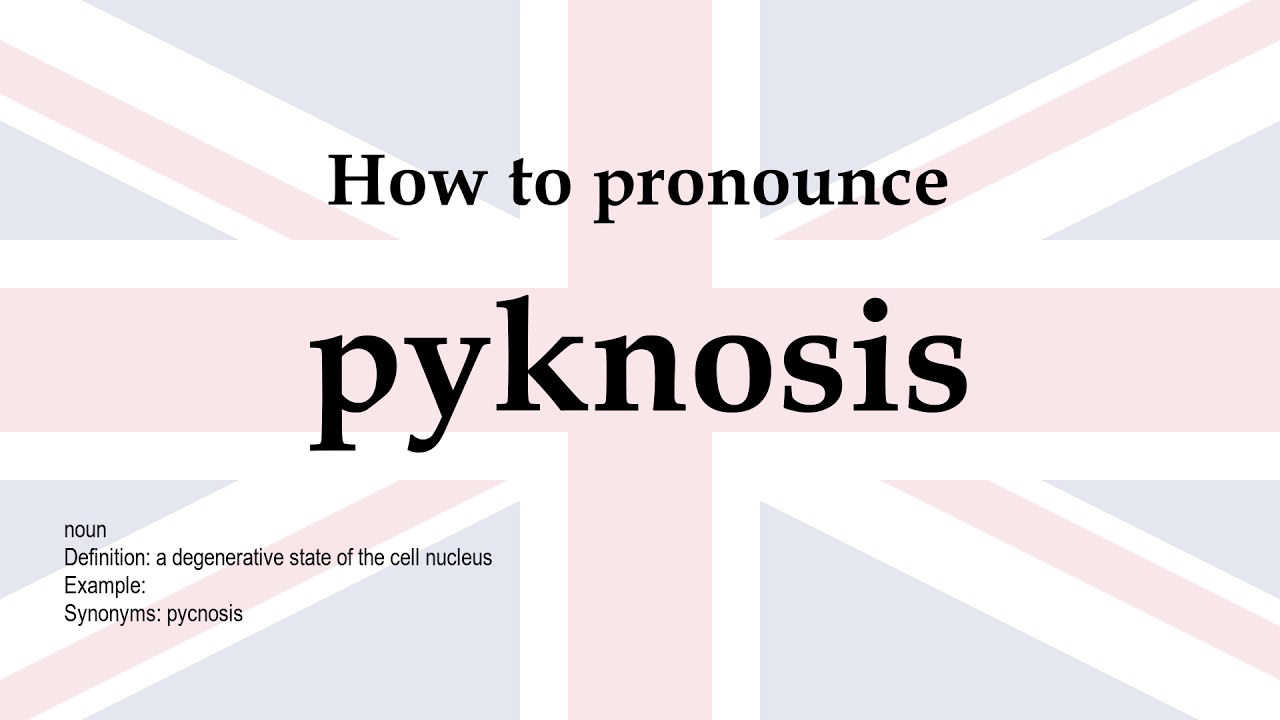 How to pronounce 'pyknosis' + meaning - YouTube