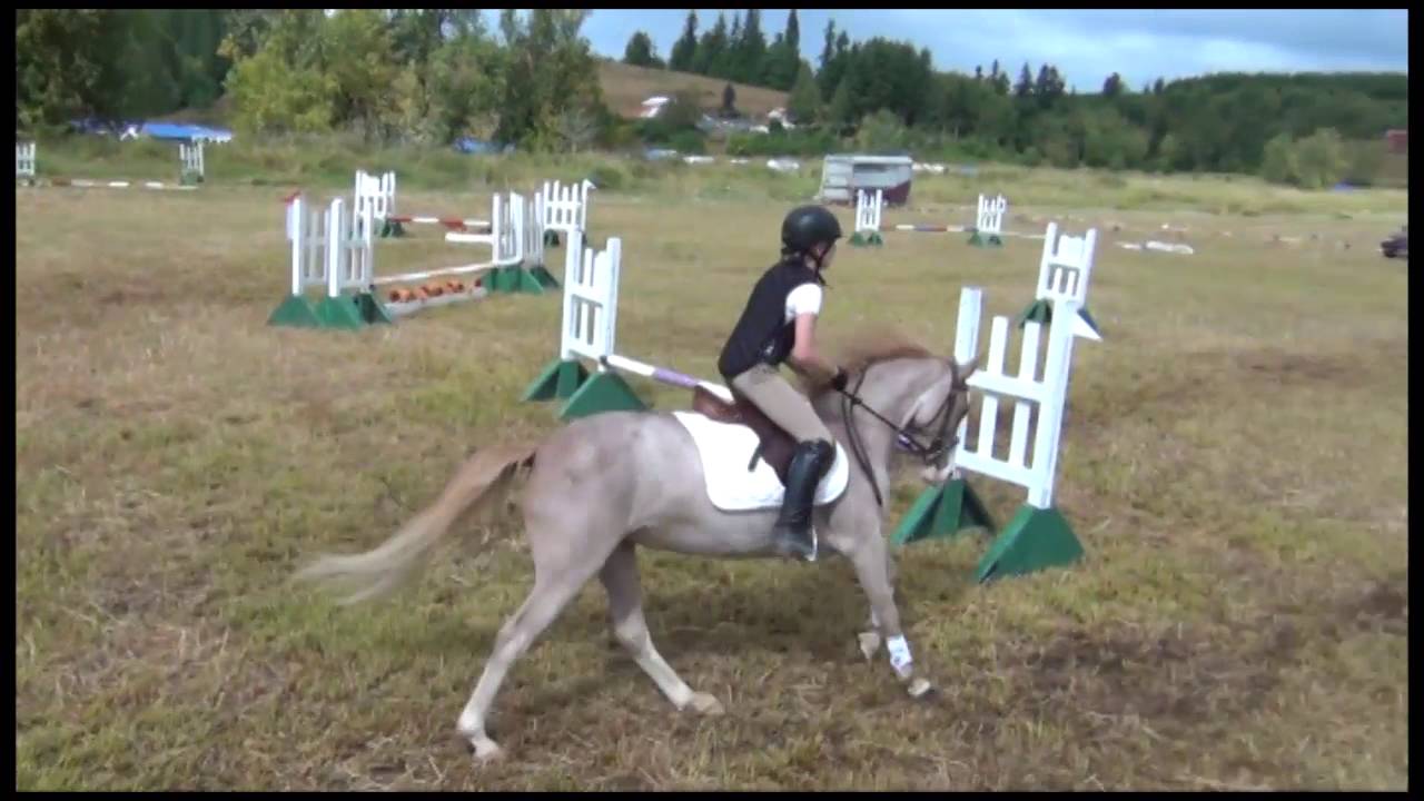 Sarah Haberman; Lincoln Creek Pony Club Schooling Horse Trials; August ...