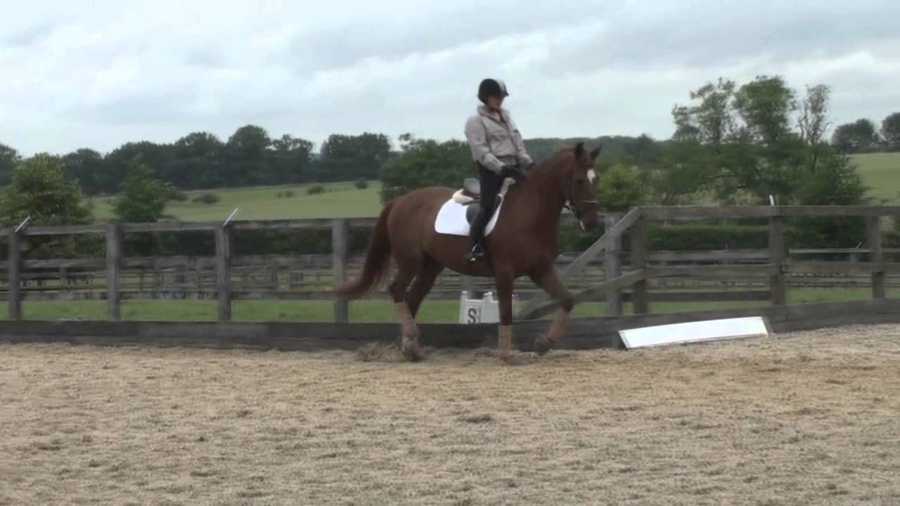 tash video - YouTube