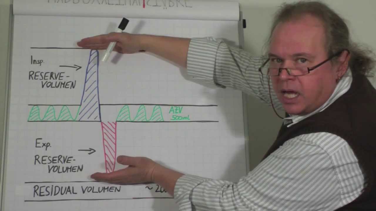 Atmung - Lungenvolumina Teil 1 - YouTube