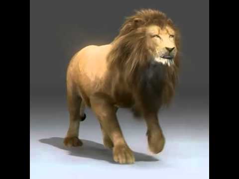 Rigged and Animated Lion for 3ds Max, 3D Studio, Cinema 4D, Lightwave ...