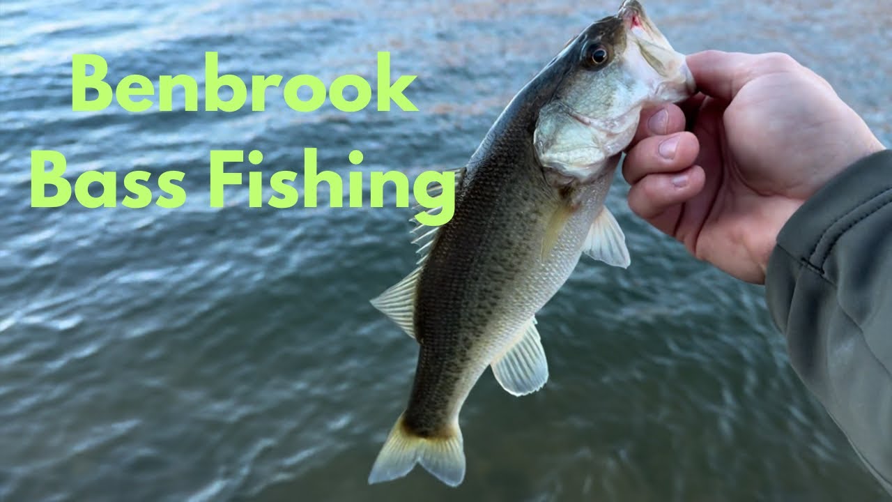 Bass Fishing Benbrook Lake - YouTube