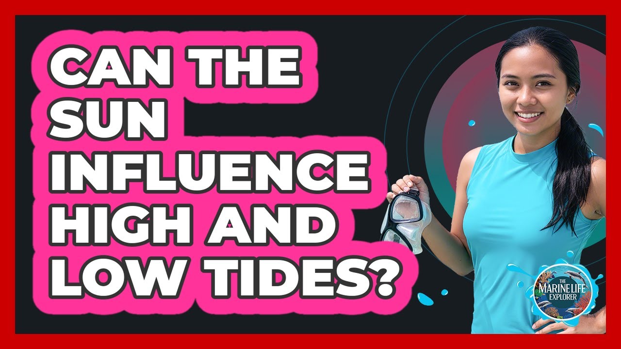 Can The Sun Influence High And Low Tides? - YouTube