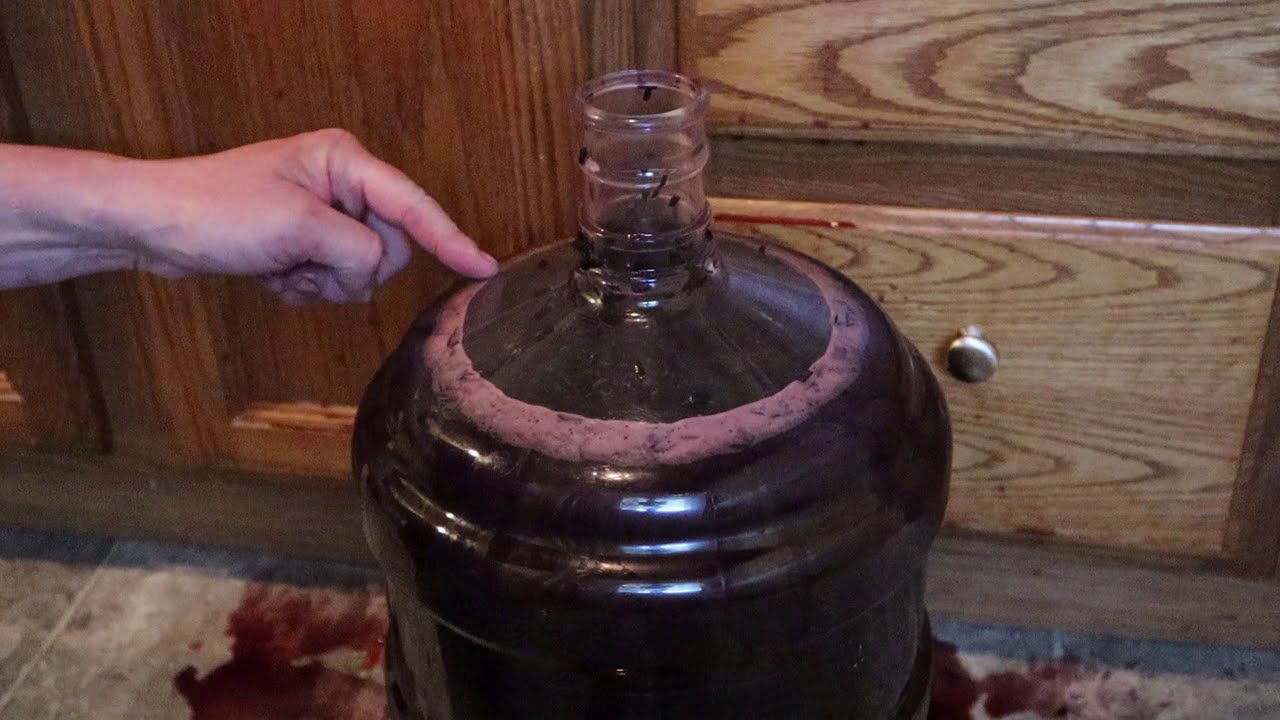 Wine Brew Pt. 2 Secondary Fermentation - YouTube