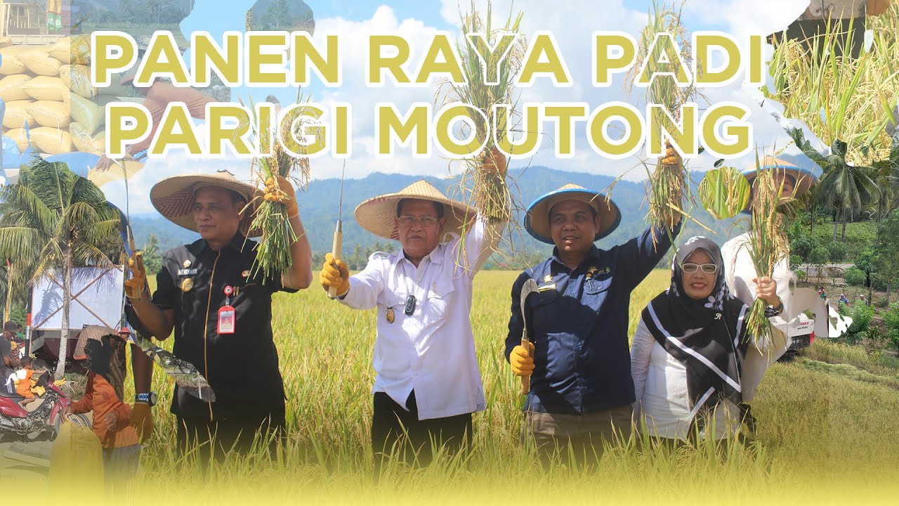 PANEN RAYA PARIGI MOUTONG - YouTube