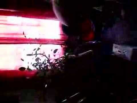 Mia And Ava Rose, Fly hunting in the nude