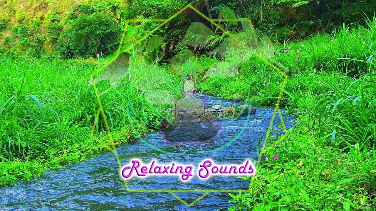 Relaxing Sounds Harmony - Soft Flowing and Gentle Instrumental Music ...