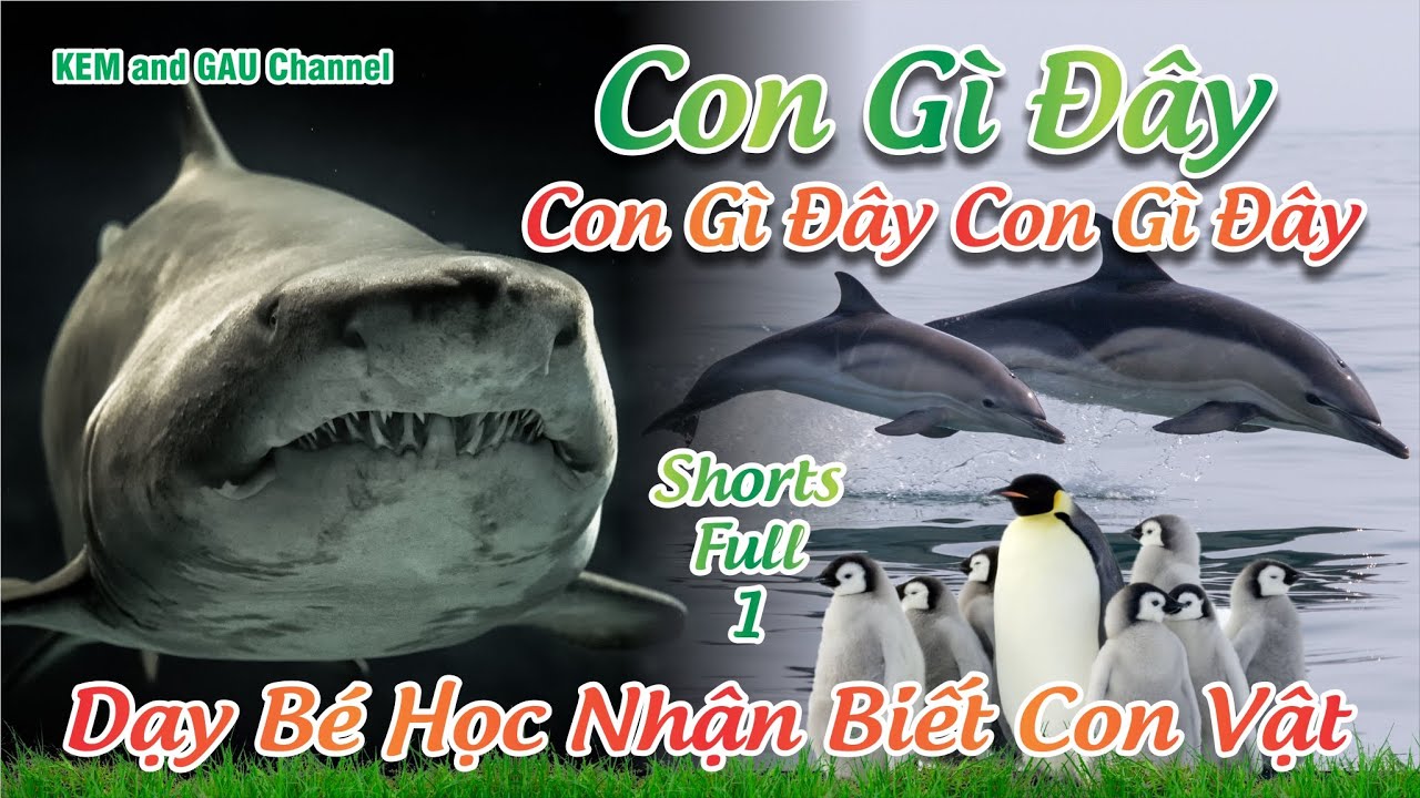 CON GÌ ĐÂY - CON GÌ ĐÂY - CON GÌ ĐÂY - Shorts Full 1 #kemandgauchannel ...