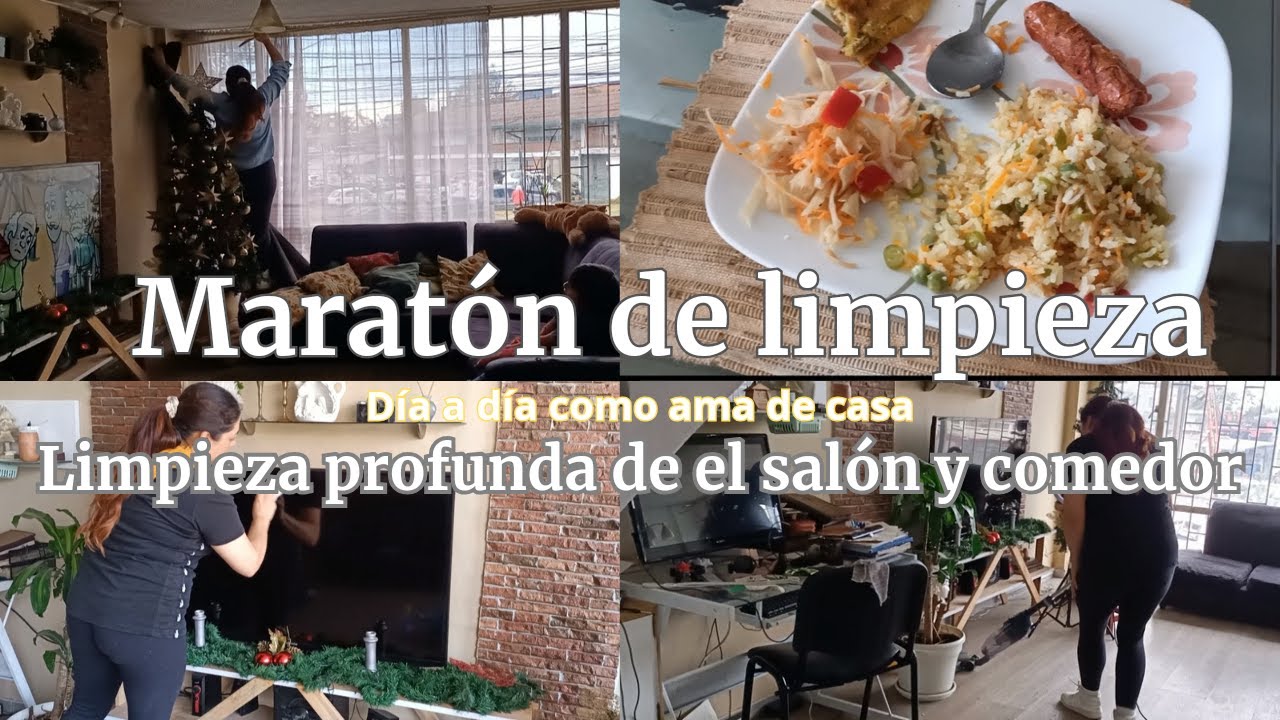 LIMPIEZA PROFUNDA DE SALA COMEDOR TODO MUY SUCIO DEJO LIMPIO PARA FIN ...
