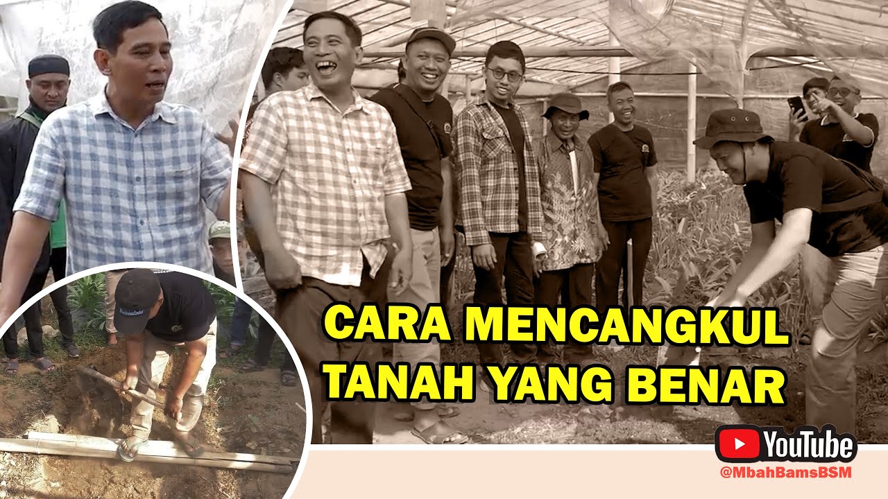 CARA MENCANGKUL TANAH YANG BENAR #bayudiningrat #bayusehatmandiri - YouTube