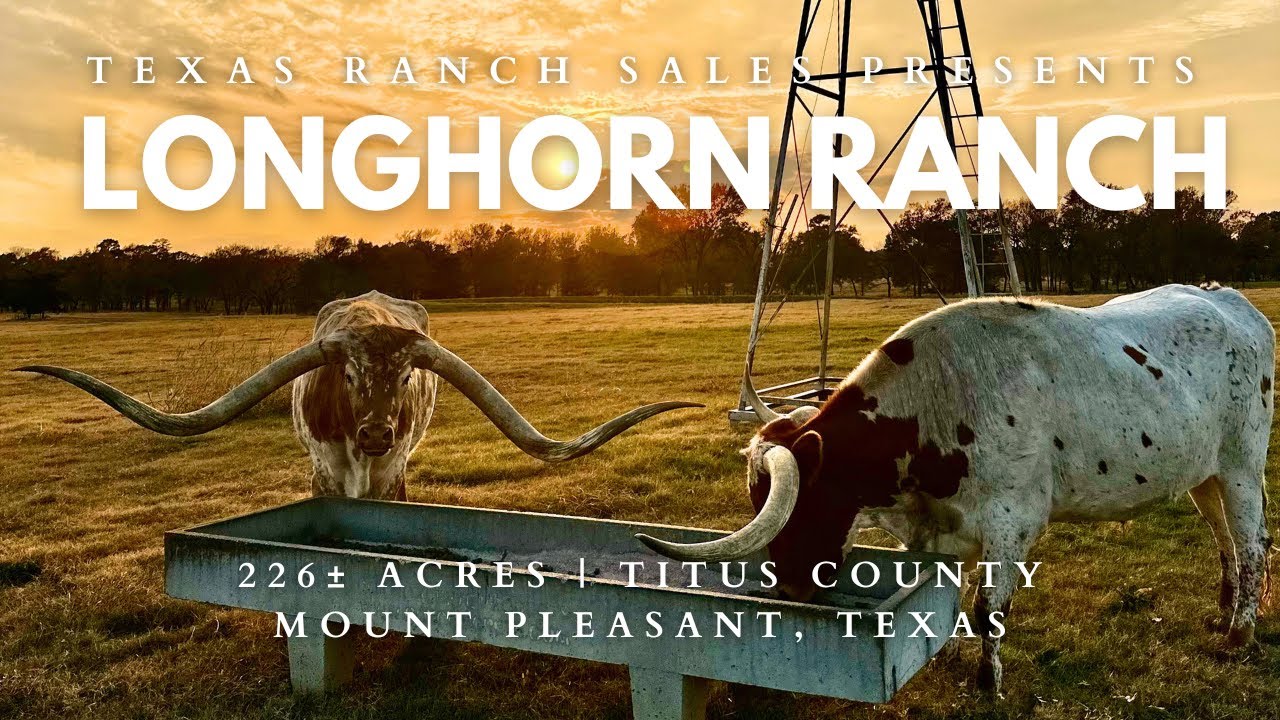 Longhorn Ranch | 226± Acres in Titus County Texas - YouTube