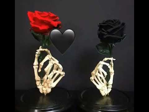 Whatsapp ucun statuslar