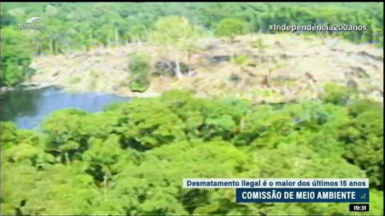Debatedores alertam para o aumento da grilagem de terras na Amazônia em audiência da CMA - YouTube