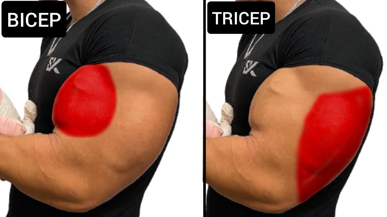 Gym Workout Bicep and Tricep to Grow Perfect Bigger Arms - YouTube