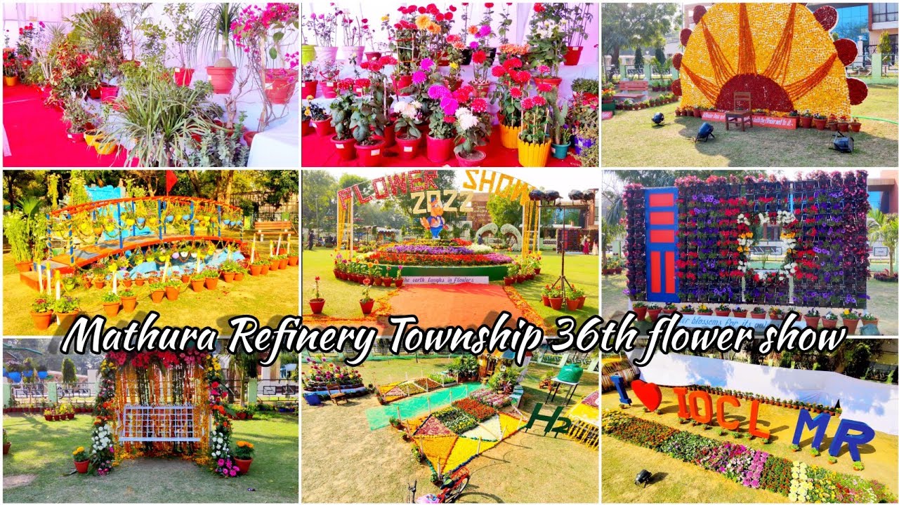 Mathura Refinery Township 36th Flower🌺Show 2022- (Won Total 11 Prizes🏆 ...