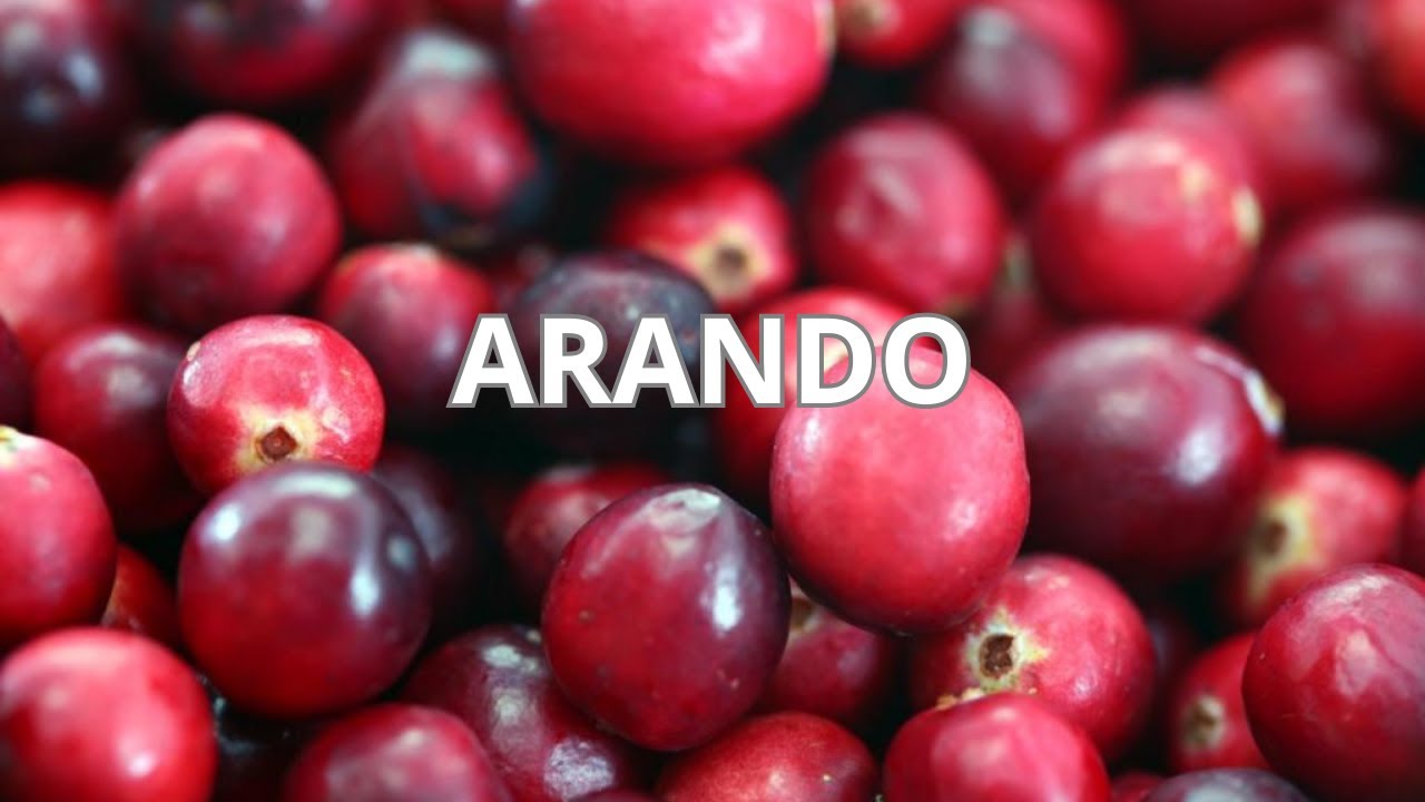 Frutas Uma Deliciosa Diversidade de Cores, Sabores e Nutrientes ...