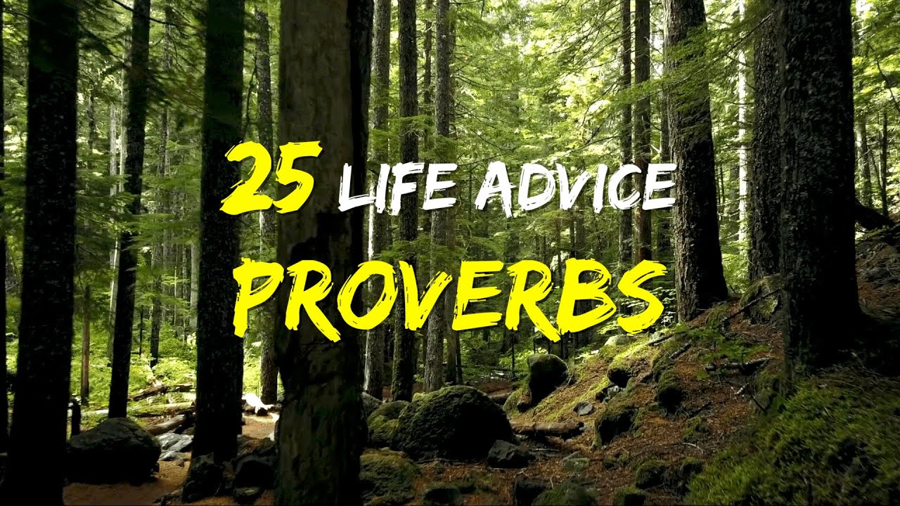 25 LIFE ADVICE PROVERBS | Important Life lessons | Self Development ...