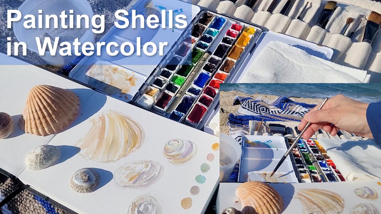 Travel Watercolor Sketchbook | Painting Watercolor Shells from Life on ...