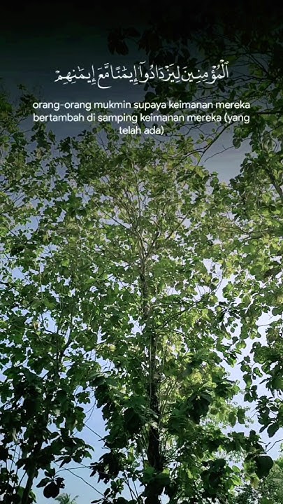 MIDDLE JAVA VIBES #relaxing #nature #peace #indonesia - YouTube